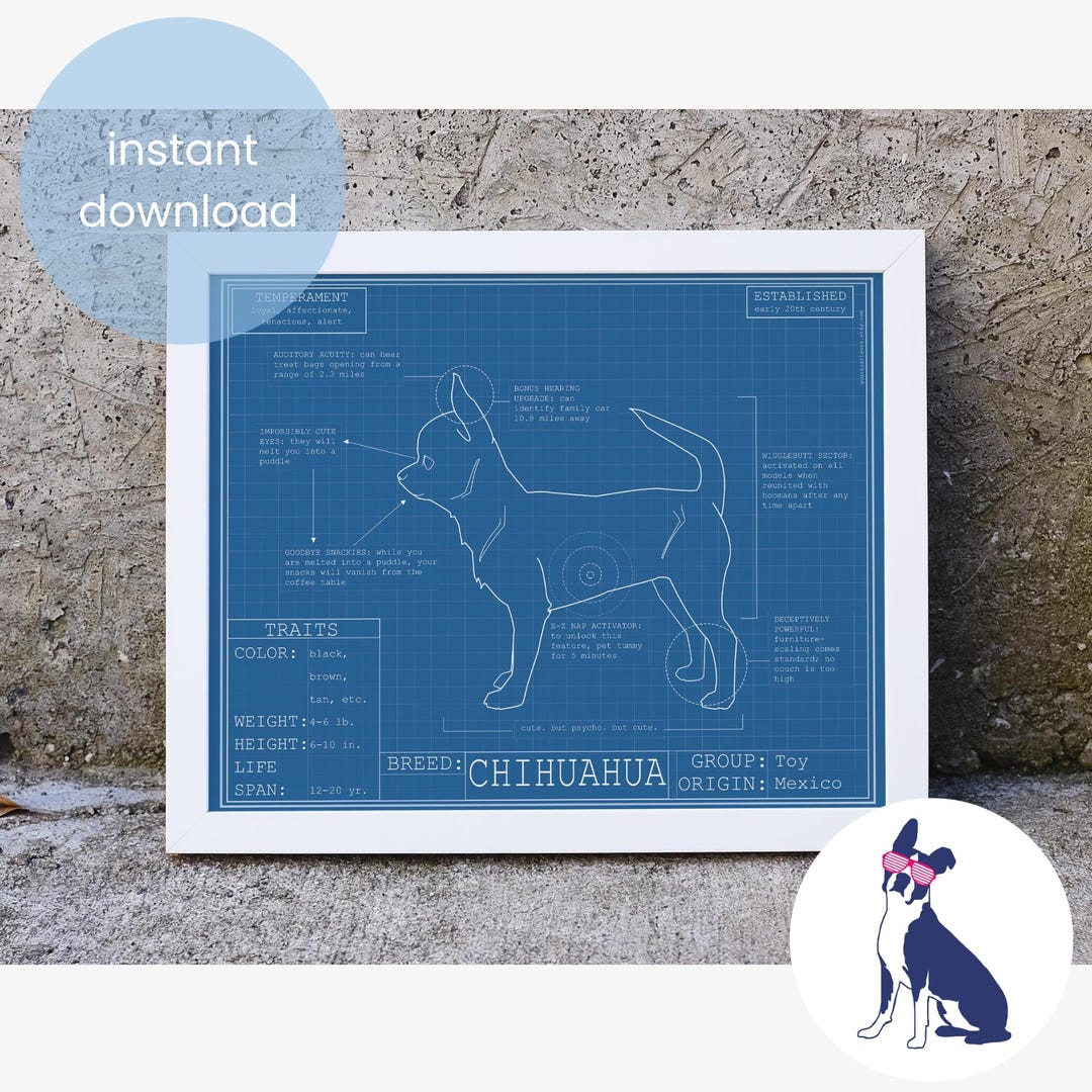 Chihuahua Blueprint Art Print: Dog Breed Poster (digital Download) - Etsy