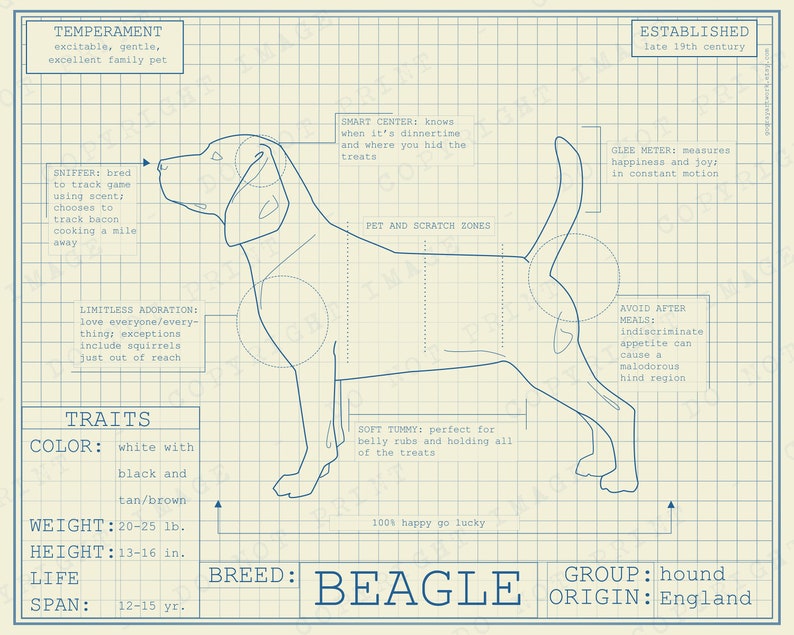 Dog Breed Blueprint Custom Pet Portrait Beagle Puppy Poster | Etsy