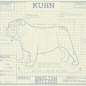 Dog Breed Blueprint Custom Pet Portrait English Bulldog Poster Blue ...