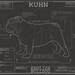Dog Breed Blueprint Custom Pet Portrait English Bulldog Poster - Etsy