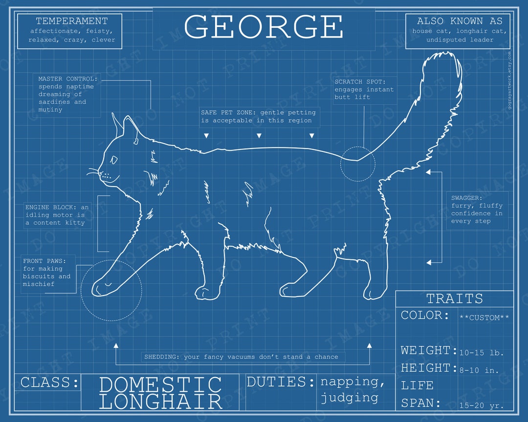 Cat Blueprint - Domestic Longhair Poster - Custom Pet Portrait Blue ...
