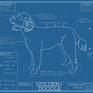 Goldendoodle Blueprint Art Print: Funny Dog Breed Portrait (digital ...