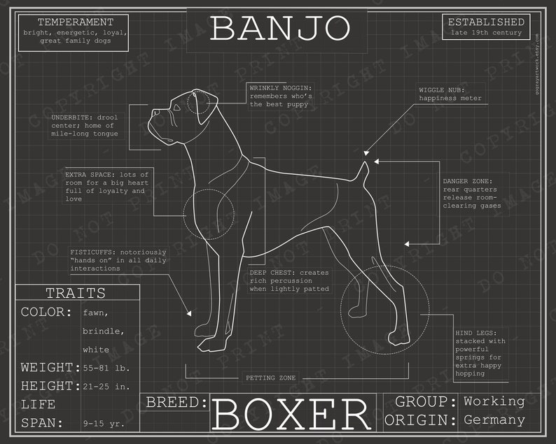 Dog Breed Blueprint Custom Pet Portrait Boxer Puppy Poster | Etsy