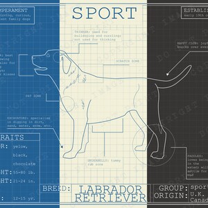 Dog Breed Blueprint Custom Pet Portrait Labrador Puppy Poster Blue ...