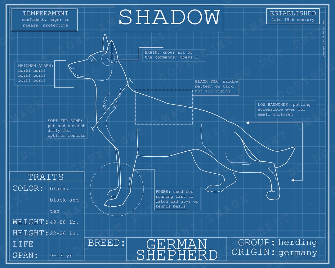 Dog Breed Blueprint Custom Pet Portrait German Shepherd Poster Blue ...