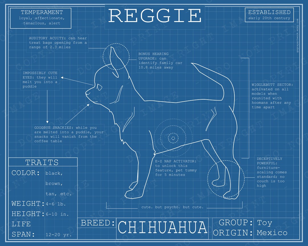 Chihuahua Dog Breed Blueprint Custom Pet Portrait Poster Blue Print ...