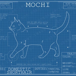 Cat Blueprint Custom Pet Portrait Domestic Shorthair Poster Blue Print ...