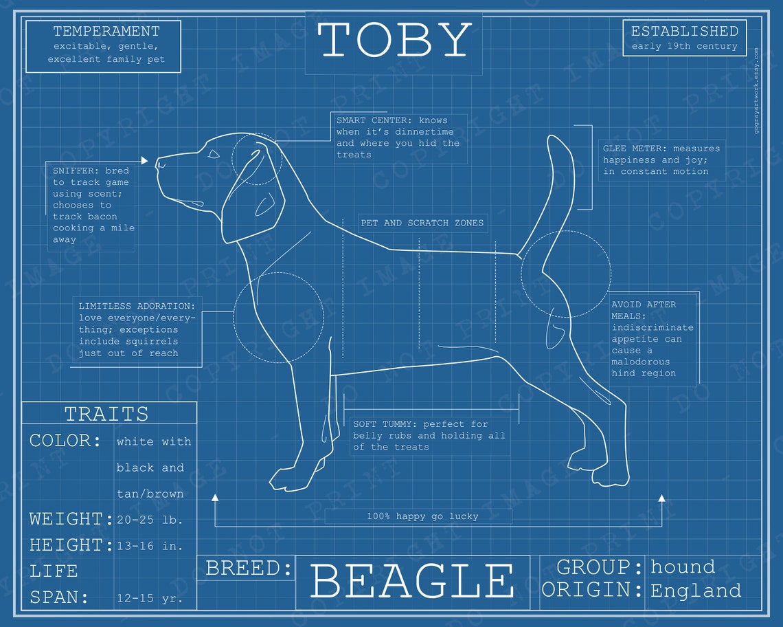 Dog Breed Blueprint Custom Pet Portrait Beagle Puppy Poster | Etsy