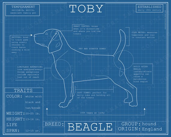 Dog Breed Blueprint Custom Pet Portrait Beagle Puppy Poster | Etsy
