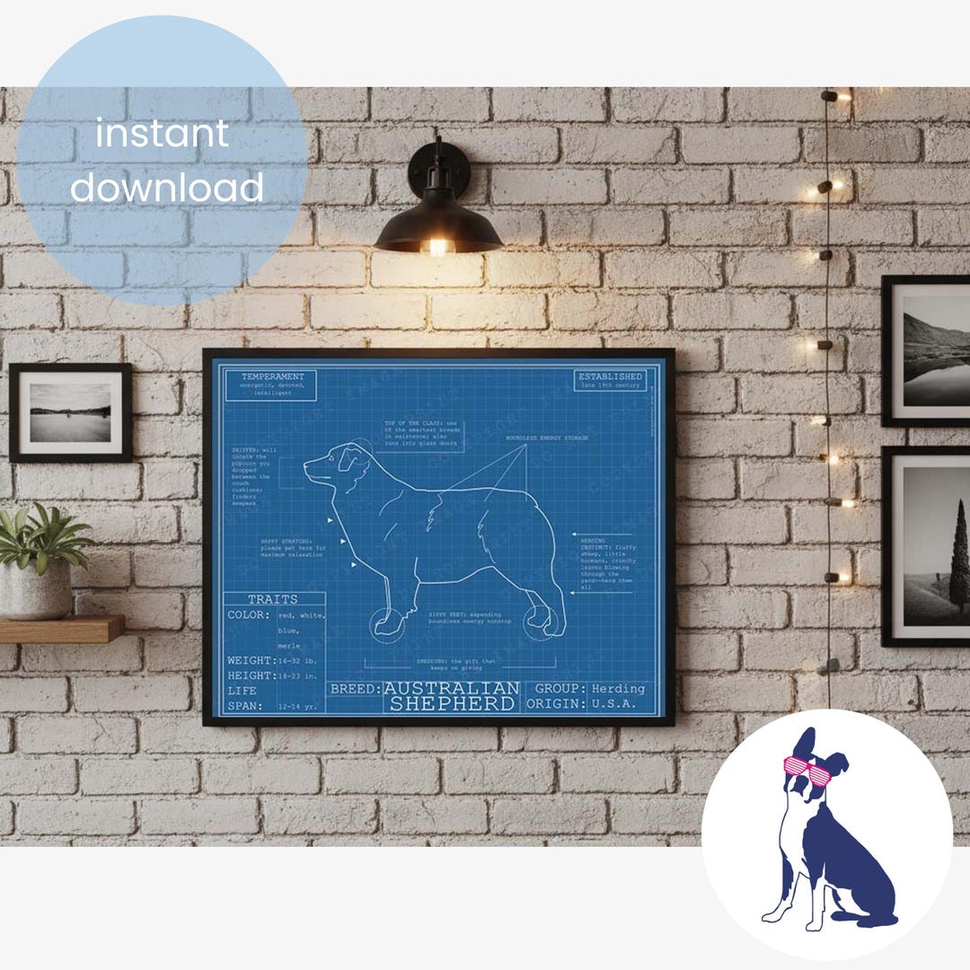 Australian Shepherd Blueprint Art: Funny Aussie Dog Breed Print ...