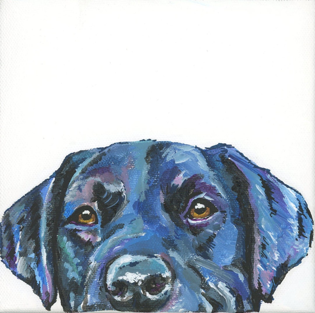 Peeking Black Lab Dog Acrylic Painting 6x6 on Stretched Canvas Colorful ...