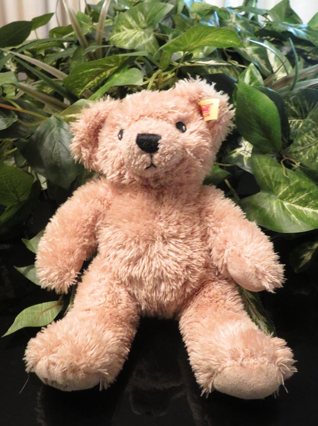 Adorable "my First Steiff" Teddy Bear - Etsy