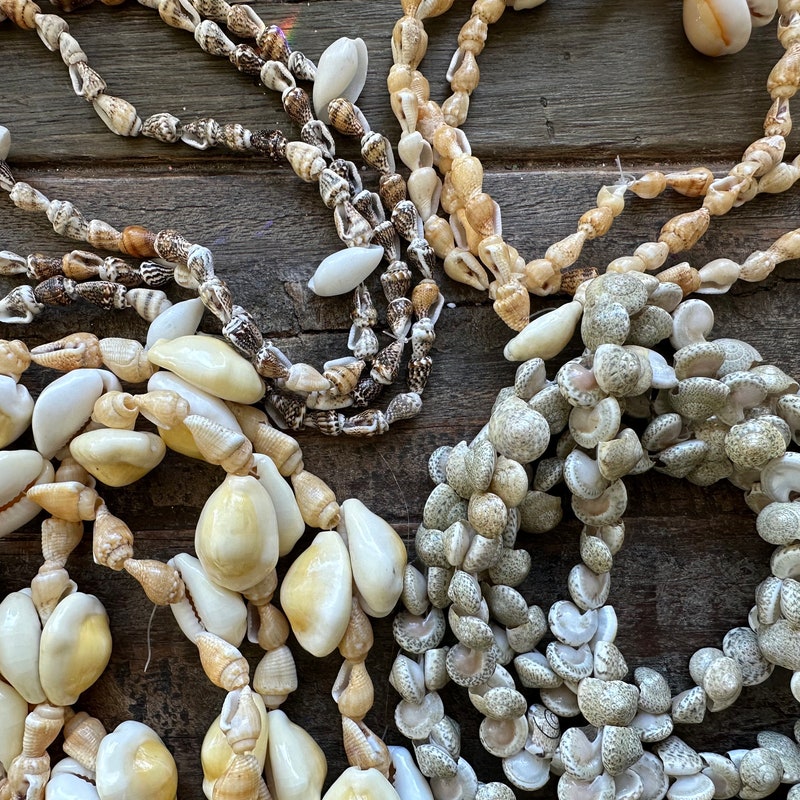 Shell Necklace - Etsy