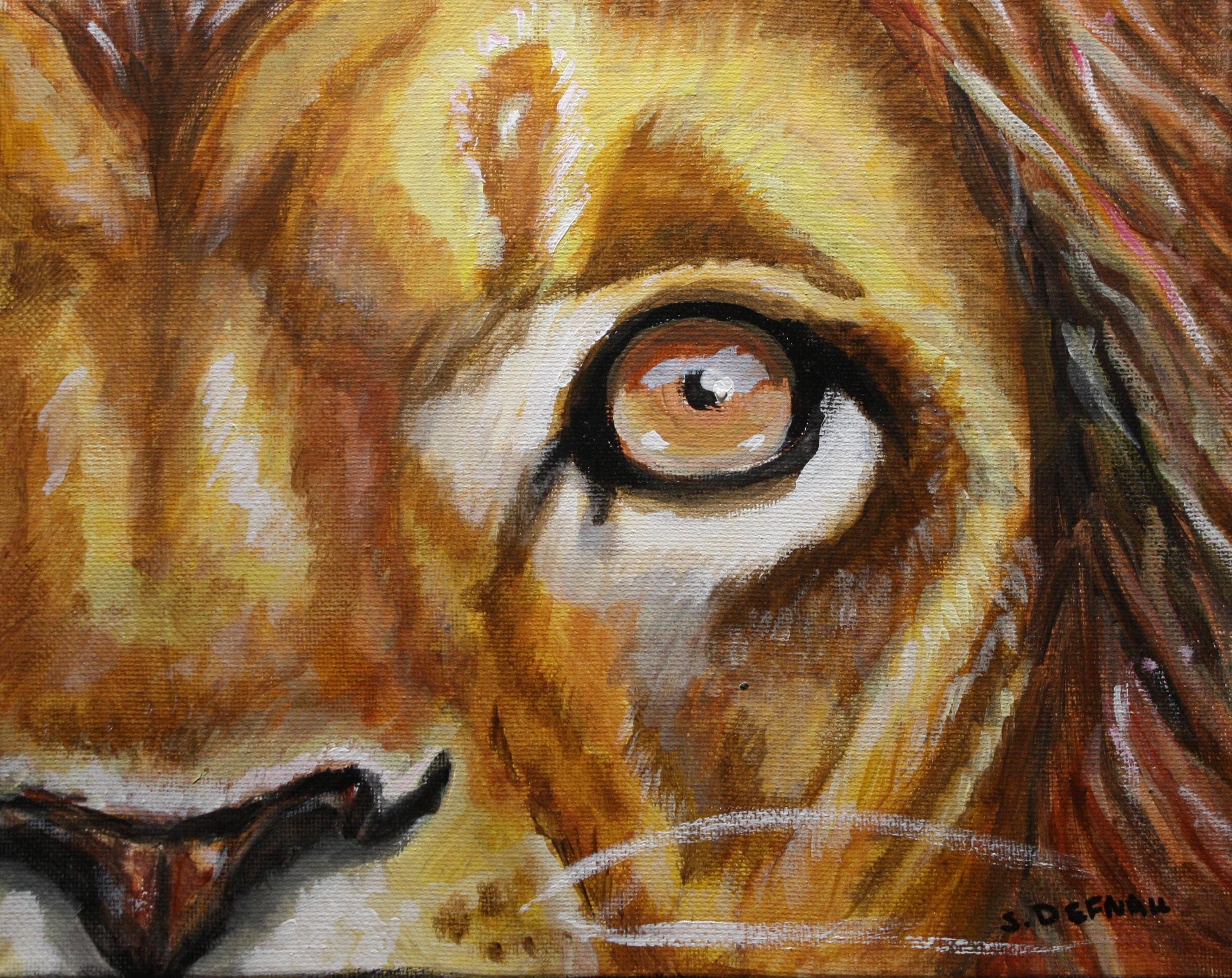 Lion Eye Drawing