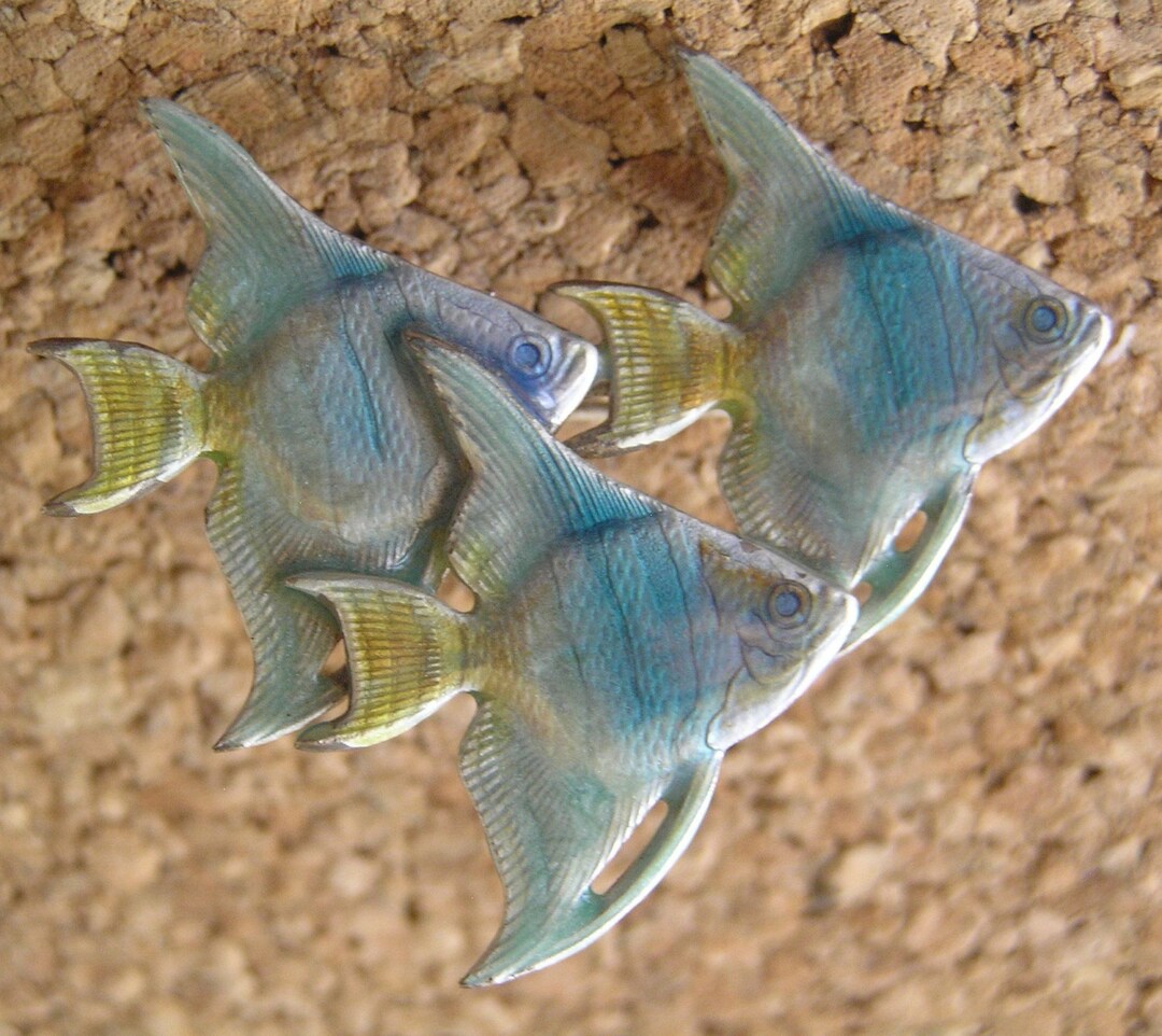 Vintage Enameled Angel Fish Pin: 1970s Trio Ocean Brooch - Etsy