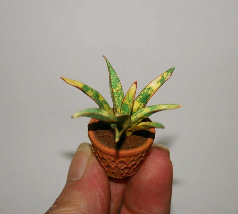 Green Plant -DOLL HOUSE Miniatures - Artisan Handmade Miniature in 1:12 ...