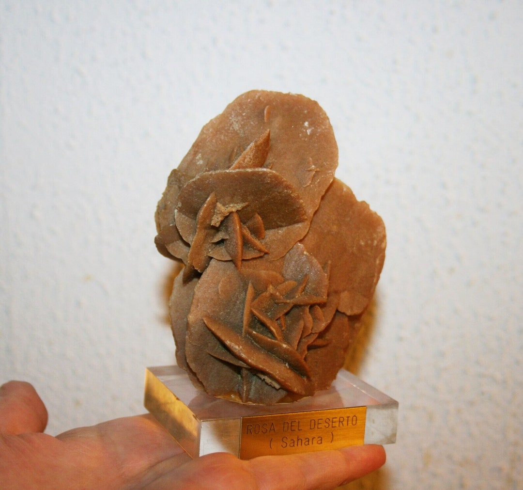 DESERT ROSE WILD Beauty From the Desert/ Father Sky & Mother Earth ...