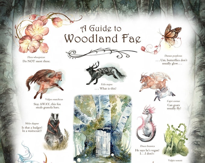 One of Each Fae Guide: A Guide to Woodland Fae and A Guide to Dark and ...