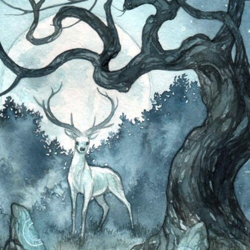 White Stag Oil Painting Archivial Print of Original Oil - Etsy