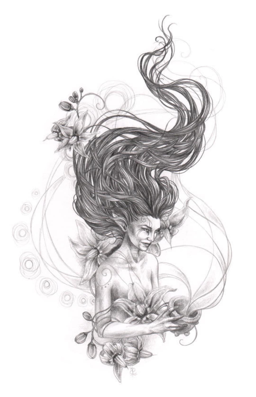 Nightshade Pencil Art Print Fae Art Print Creature Art - Etsy