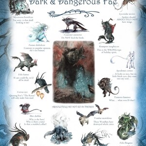 One of Each Fae Guide: “A Guide to Woodland Fae” and “A Guide to Dark ...