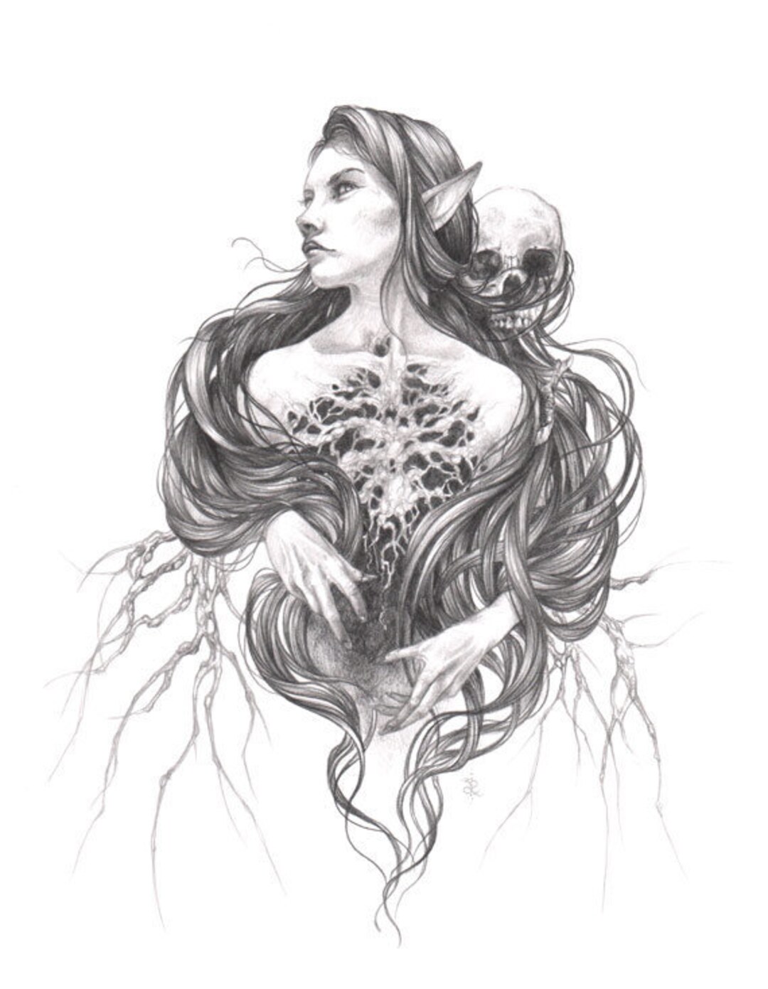 Leanan Sidhe - Pencil Art Print, Fae Art Print, Fantasy Art, Irish ...