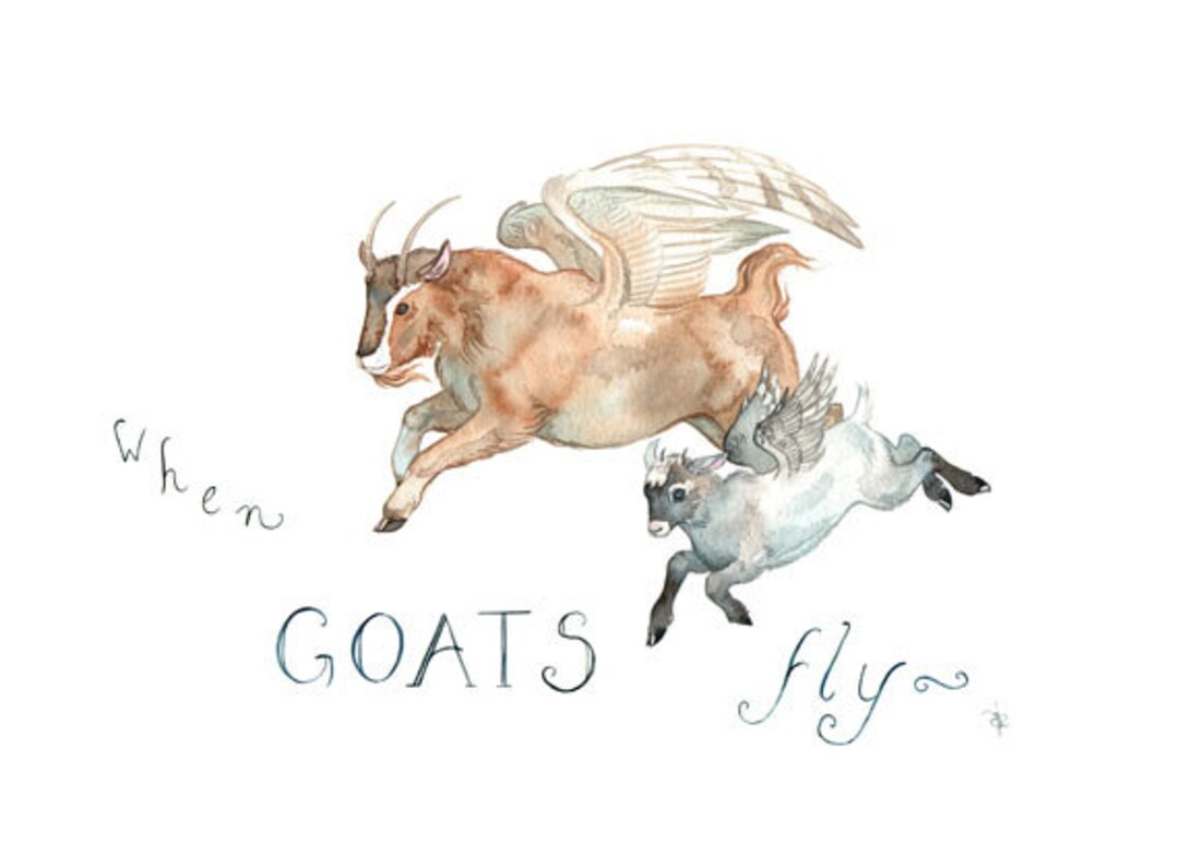 When Goats Fly Greeting Card, Punny Cards, Cute Cards for Friends ...