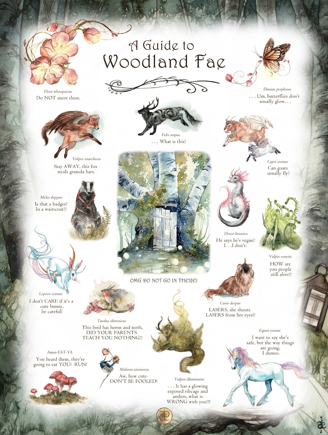 A Guide to Woodland Fae Poster - Etsy