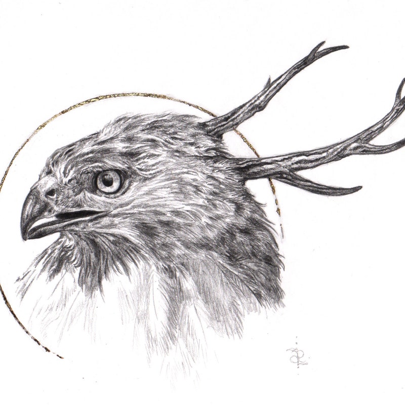 Hawk Totem - Etsy