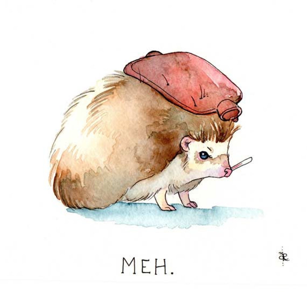 MEH - Get Well Card - Greeting Card, Cute Cards for Friends, Cute ...