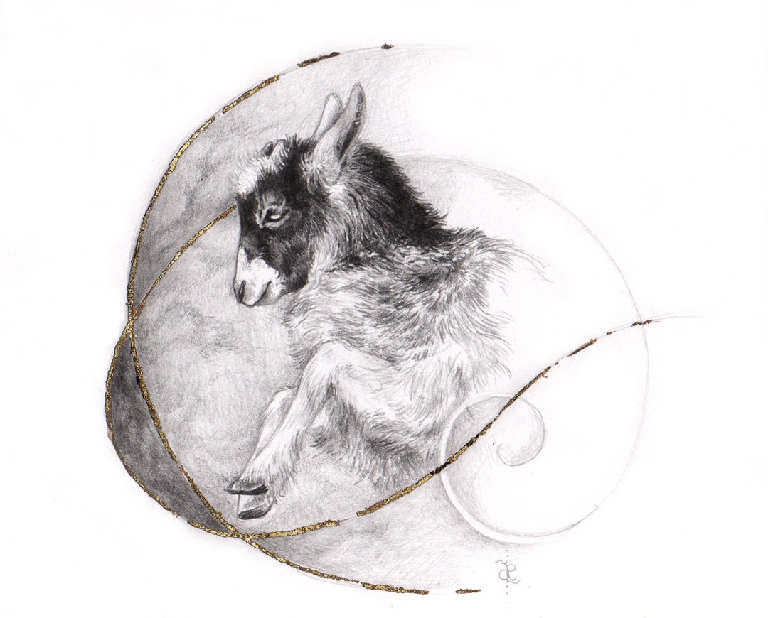 Baby Goat - Pencil Art Print, Nature Art Print, Goat Art, Nature Spirit ...
