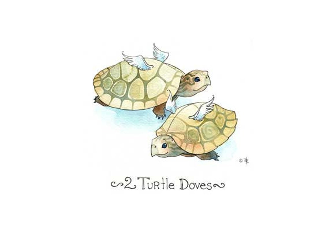 Two Turtle Doves Greeting Card, Cute Cards for Friends, Cute Animal ...