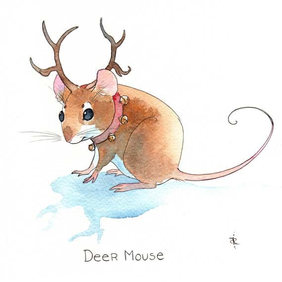 Cute Deer Mouse