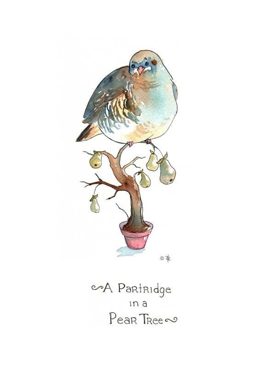 A Partridge in a Pear Tree- Greeting Card, Cute Cards for Friends, Cute ...