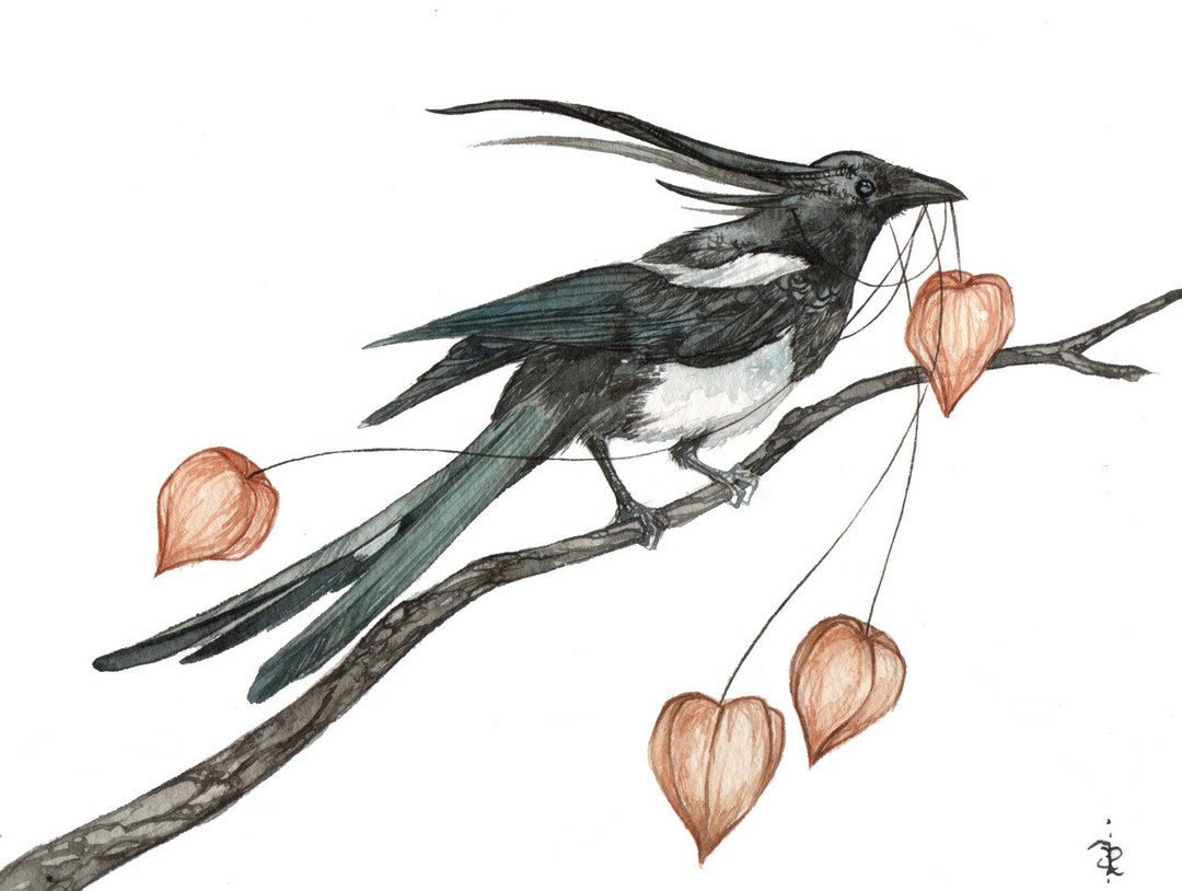 Magpie II- Watercolor Art Print, Bird Art, Fantasy Art, Mystical Art ...