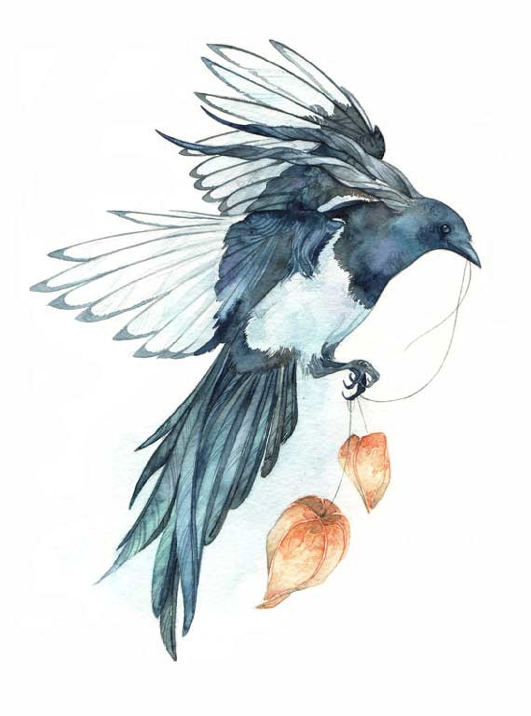 Greeting Card- Elandated Magpie, Watercolor Art, Bird Art, Nature Art ...