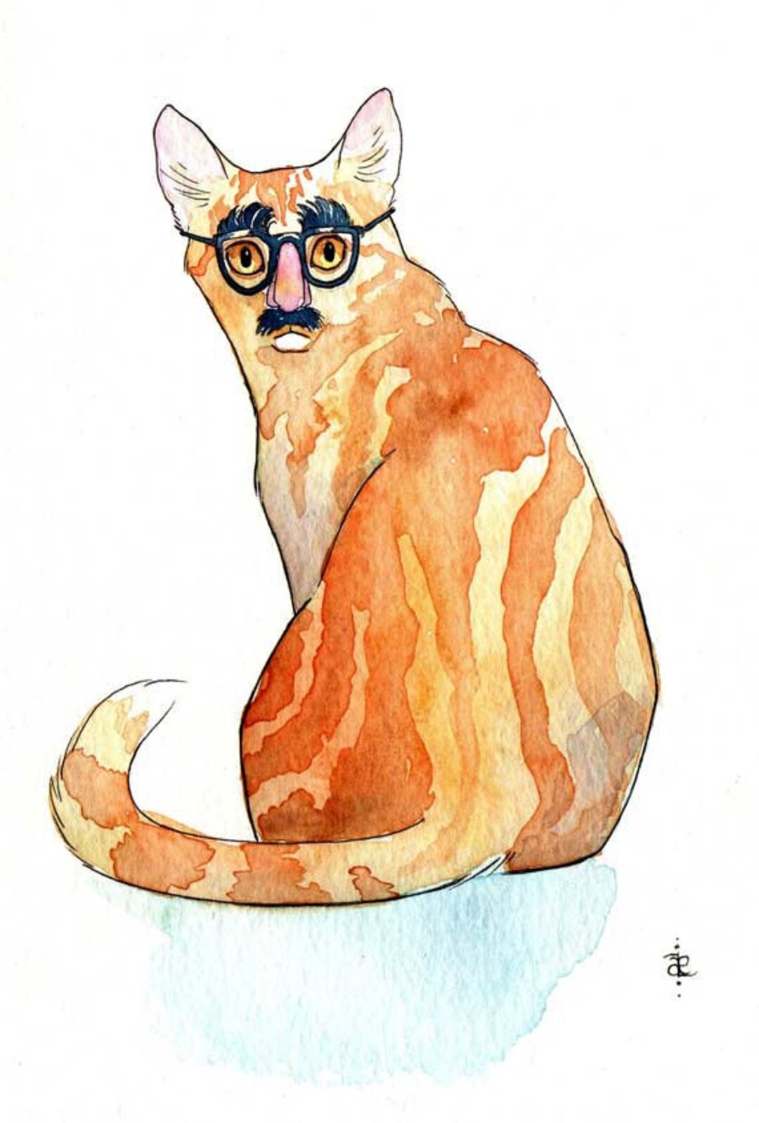 Groucho Cat- Greeting Card, Cute Cards for Friends, Funny Cards, Animal ...
