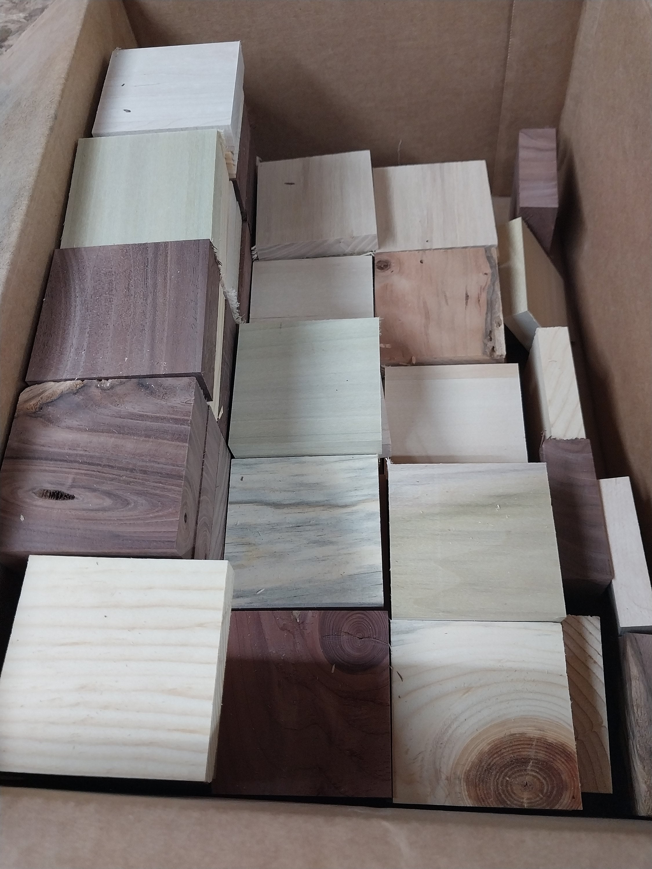 2.5 Inch Wood Blocks Multiple Woods. 100 Piece - Etsy
