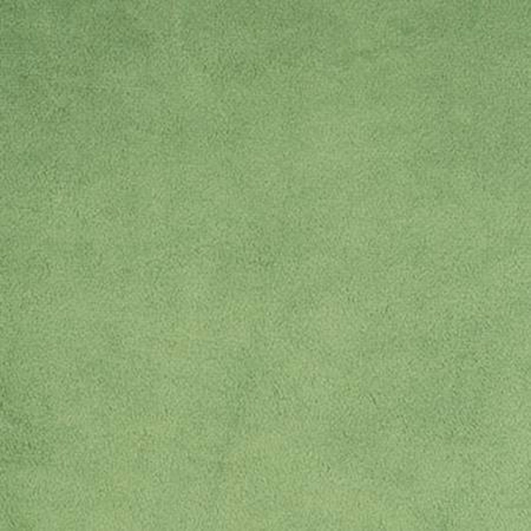 C3-OLV 60'' Shannon Olive Cuddle Solid - Etsy