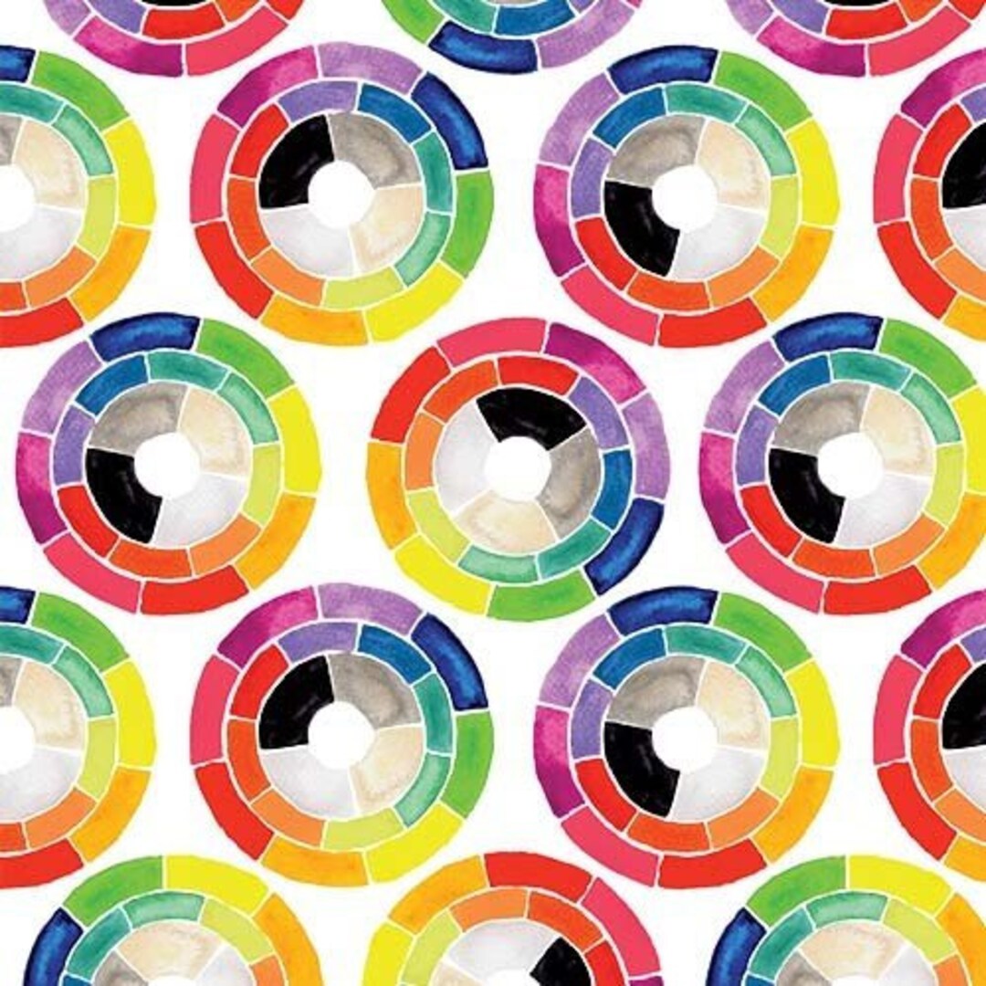 SML10149-MULT-D 60'' Michael Miller Wheel of Color on Minky - Etsy