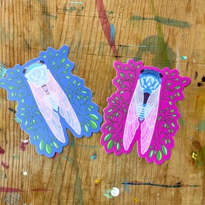 Cicada Sticker, Locust Decal - Laptop Sticker, Bumper Sticker, Water ...