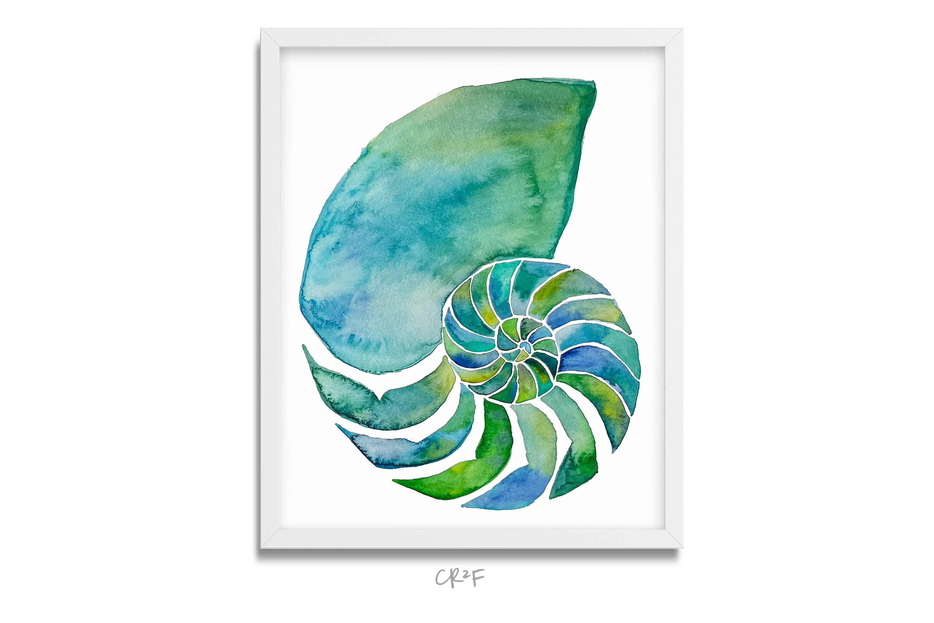 Kappa Delta Nautilus Shell Canvas