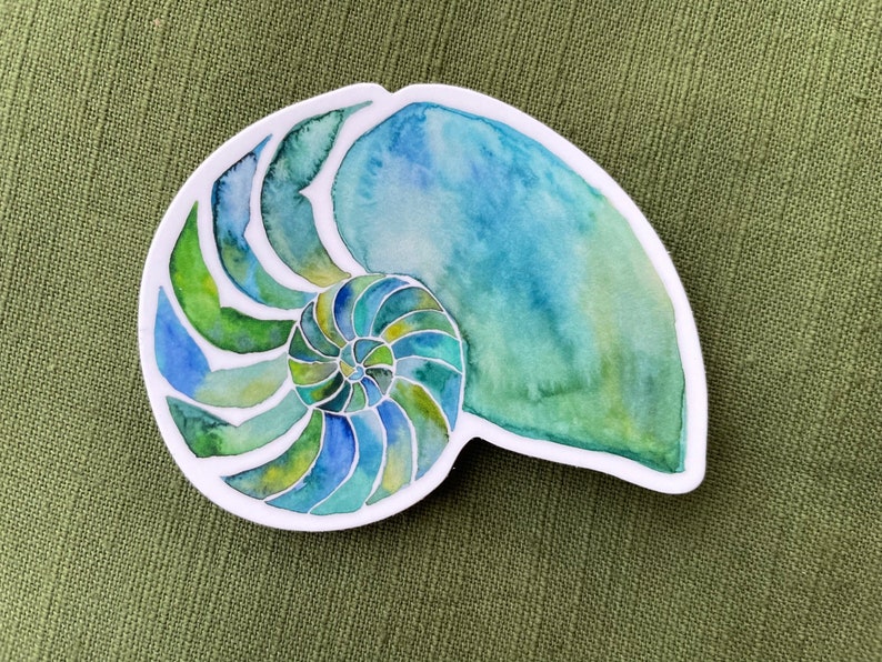 Nautilus Sticker Chambered Nautilus Decal, Ocean Sticker - Laptop ...