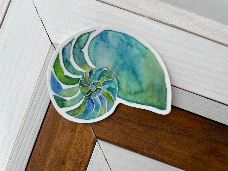 Nautilus Sticker Chambered Nautilus Decal, Ocean Sticker - Laptop ...