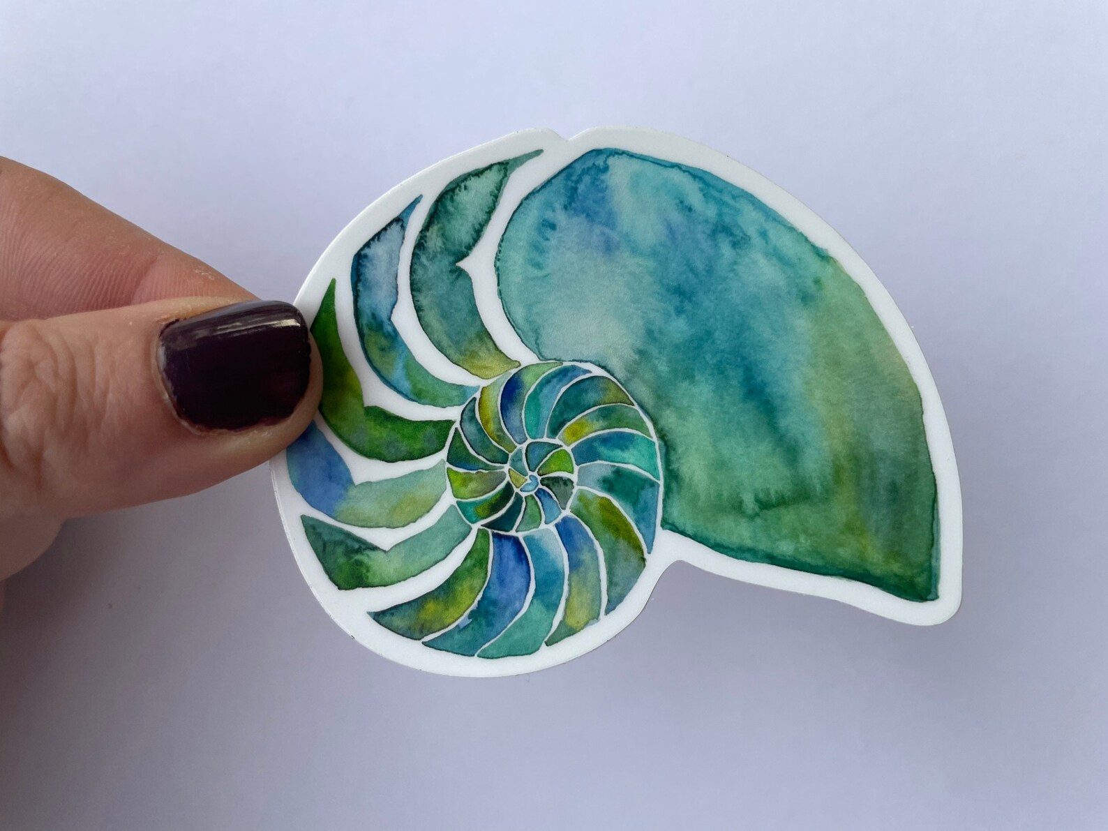 Nautilus Sticker Chambered Nautilus Decal, Ocean Sticker - Laptop ...