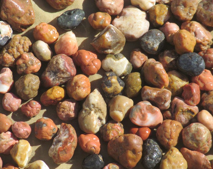 BUBBLE GUM AGATES, 1/2 Lb. Small South Dakota Badlands Lapidary/tumble ...