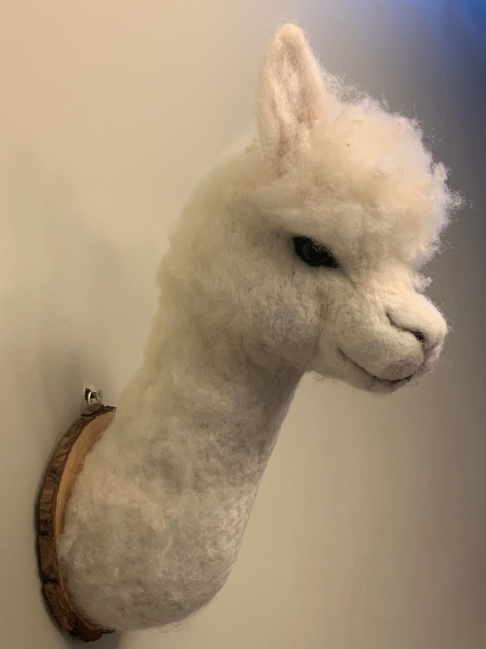 Needle Felted Alpaca Head Wall Hanging. Made to Order - Etsy