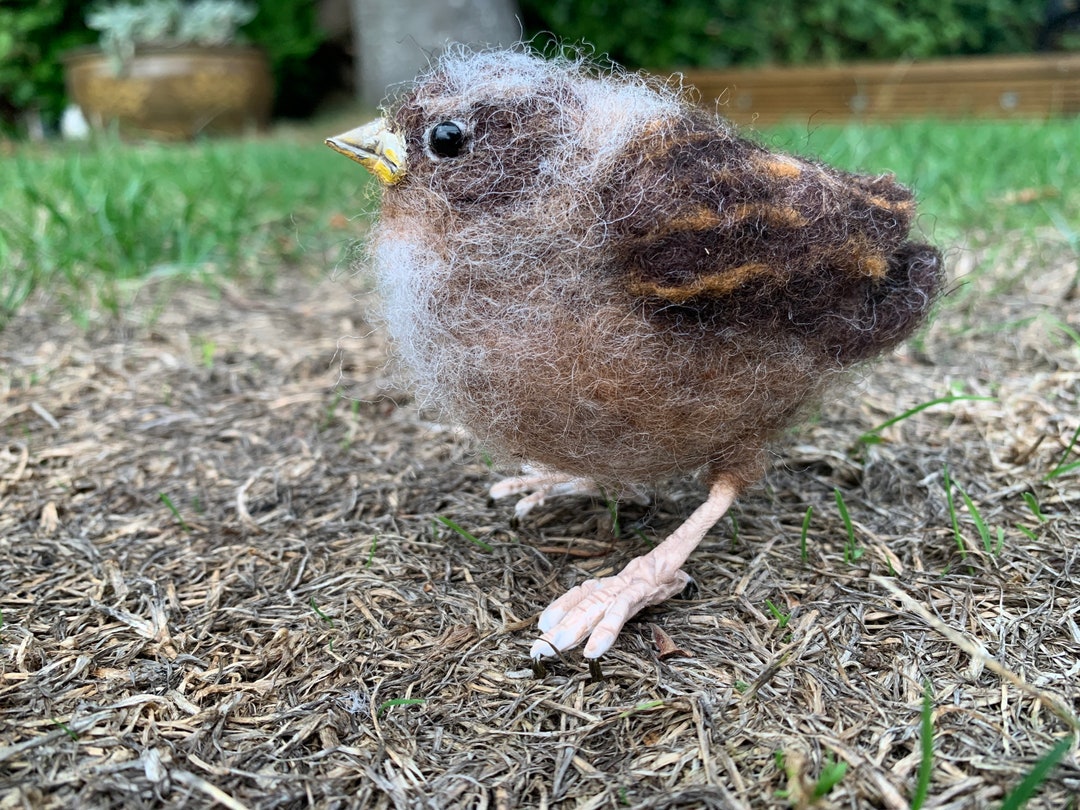 Needle Felted Baby Bird, Either Robin or Sparrow Made to Order - Etsy
