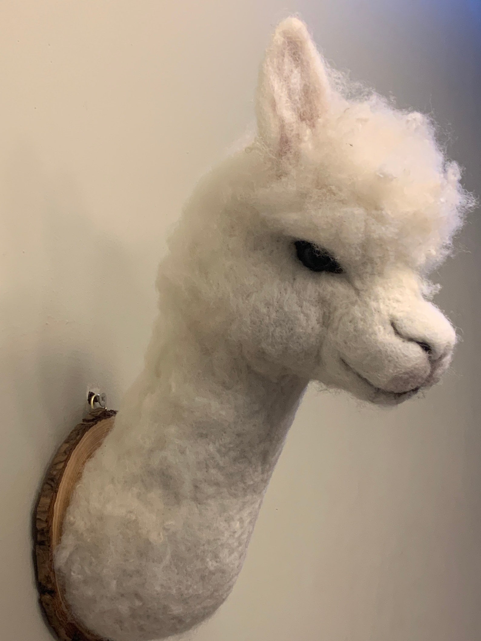 Needle Felted Alpaca Head Wall Hanging. Made to Order - Etsy