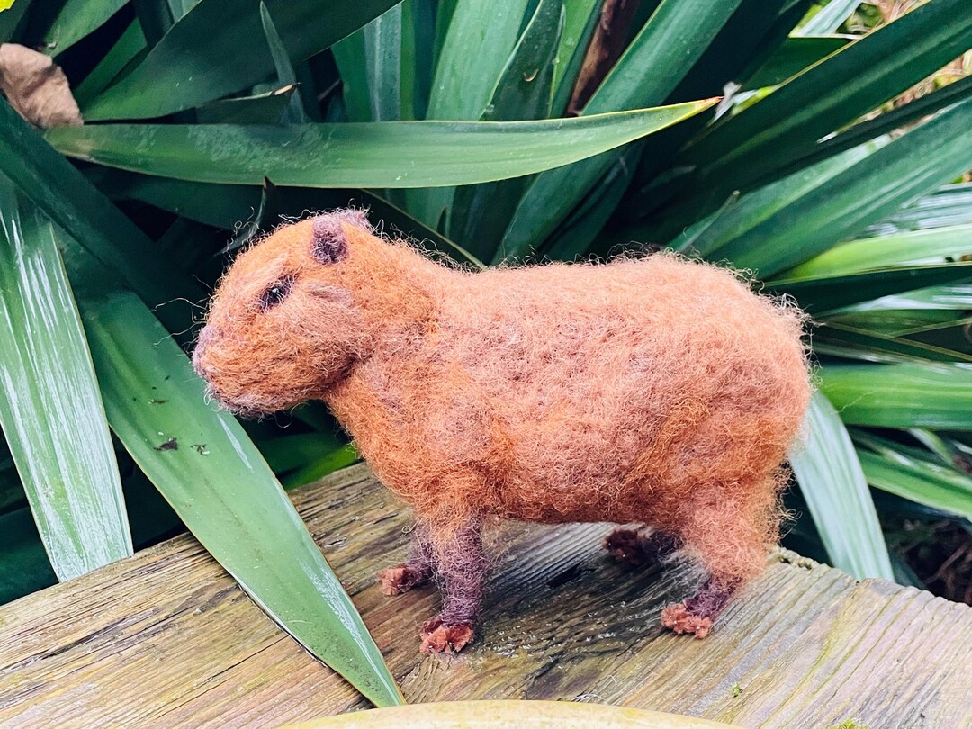 Capybara Needle Felted Sculpture Lifelike Realistic - Etsy
